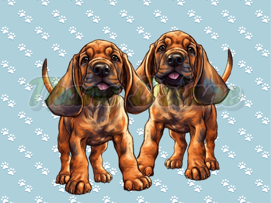 TkaneDziane.pl > PANEL DRUKOWANY POSOKOWCE BLUE